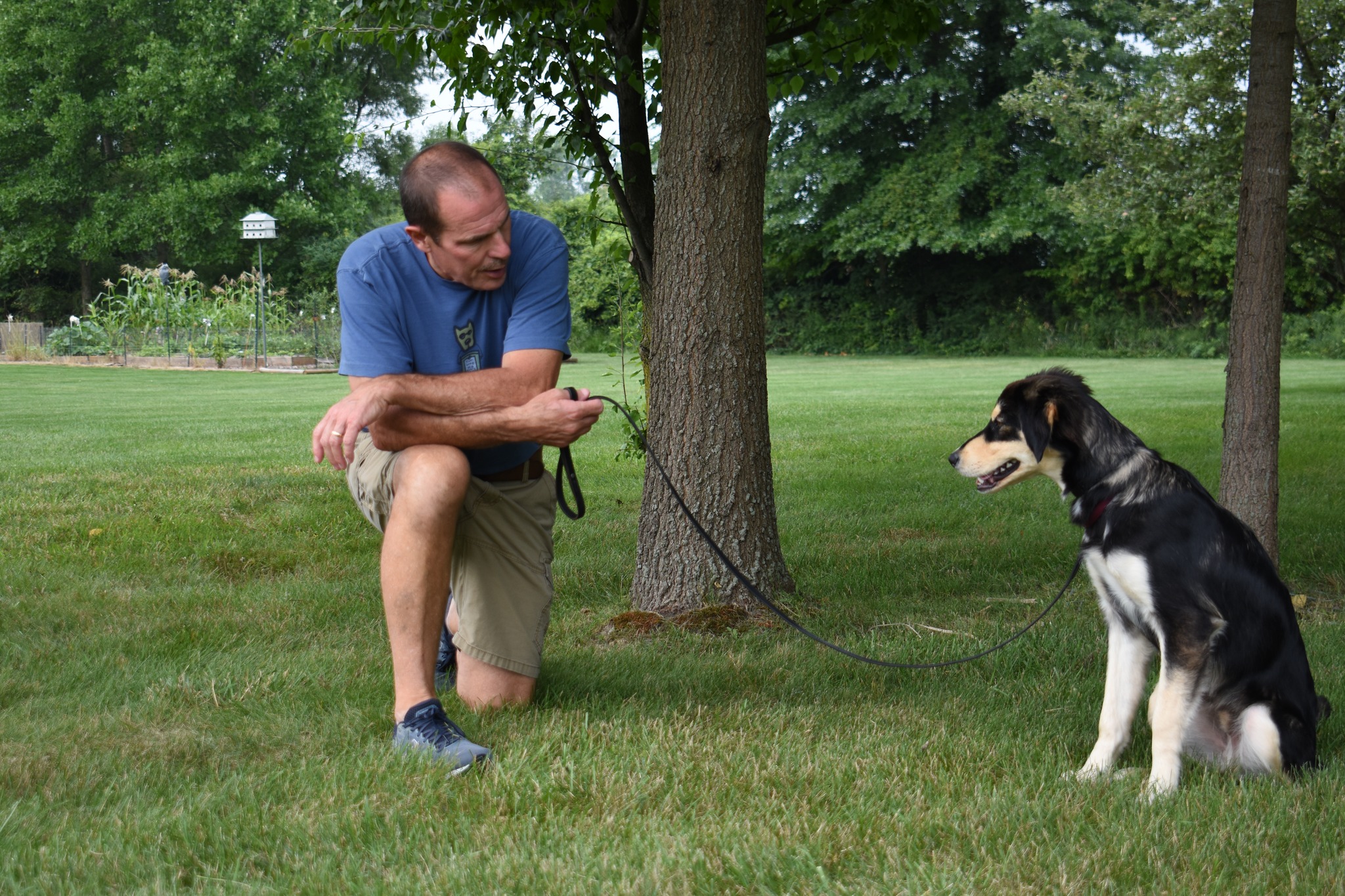 Group Classes vs. Private Training: Which is Right for Your Dog ...